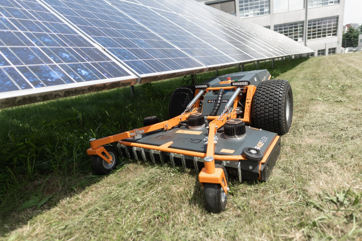 Vegetation management as a key factor in solar farms - Raymo blog ...